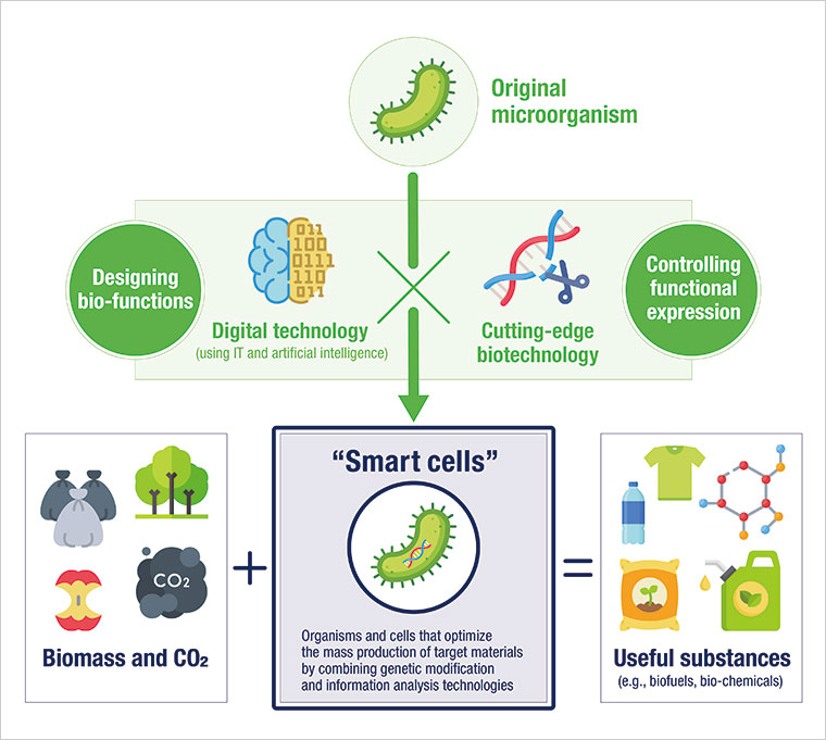 Investment in Bacchus Bio innovation, a start-up from Kobe University ...